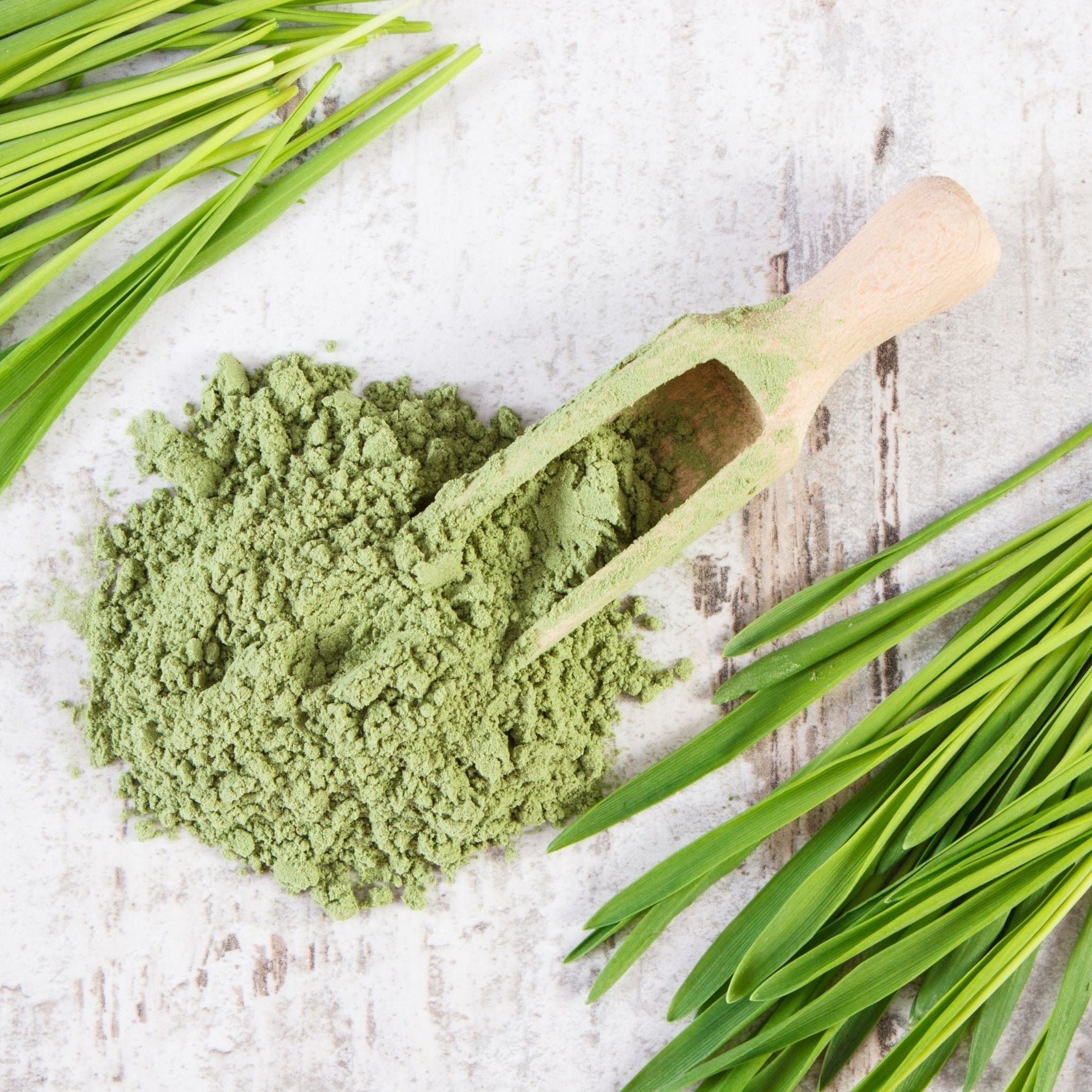 Organic Fix | Bulk Wholefoods | Eco-Friendly Products – Organic Fix Pty Ltd